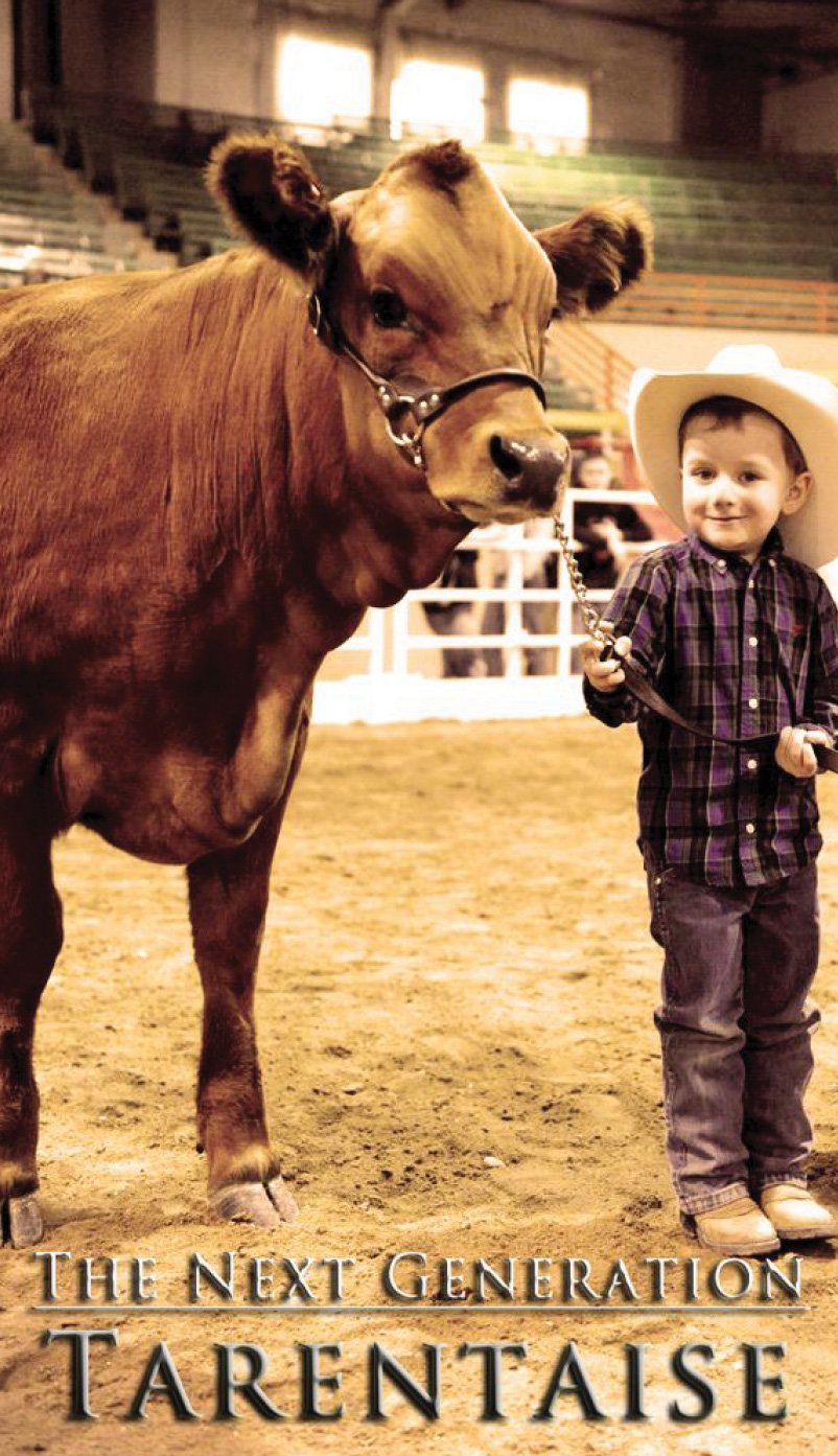 Home » American Tarentaise Association