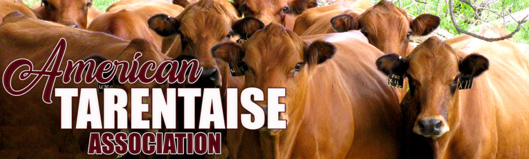 Home » American Tarentaise Association